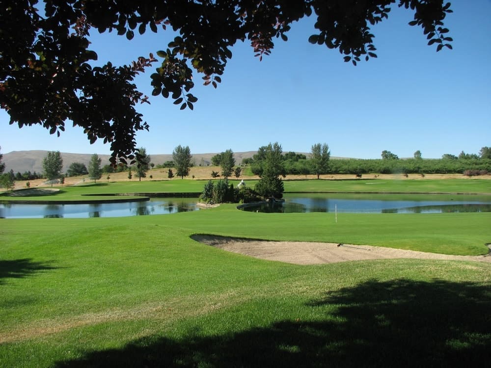 Best Golf Themed Party Ideas - 4 Golf Party Theme Ideas