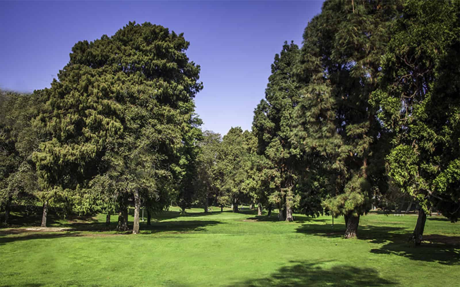 Par 3 in Los Angeles - Los Feliz Municipal Golf Course