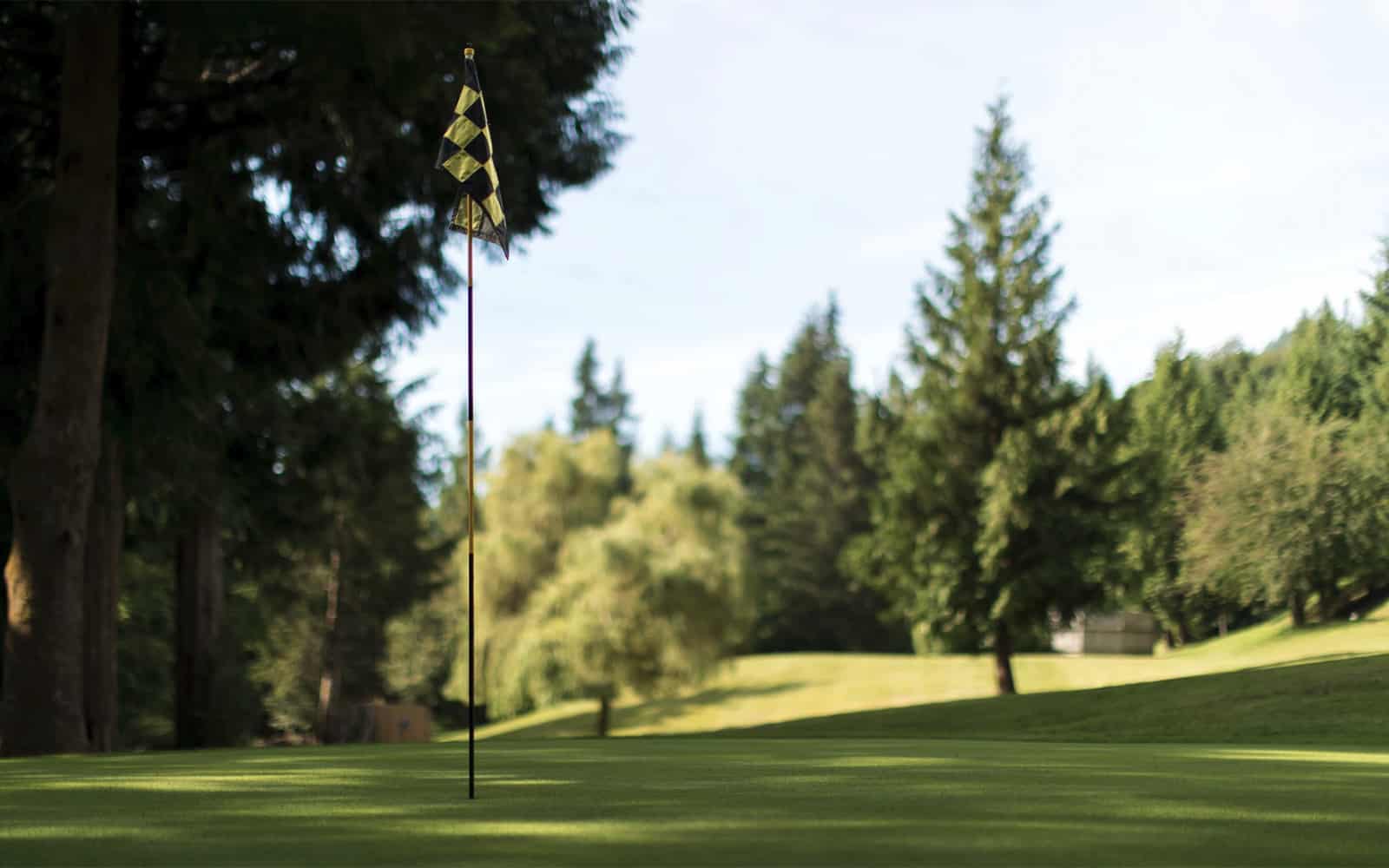 Par 3 Golf Course in Gibsons BC - Langdale Heights RV Resort