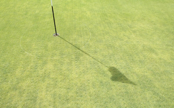 How to Aerate Golf Greens (Step by Step Guide for Beginners)