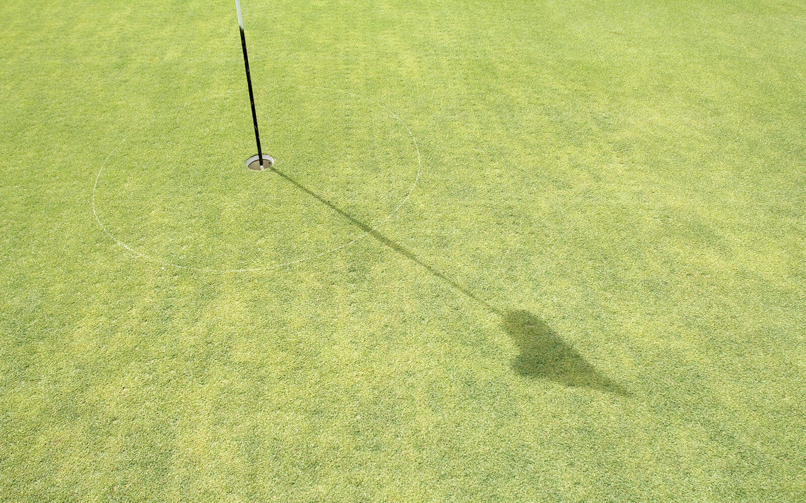 How to Aerate Golf Greens (Step by Step Guide for Beginners)